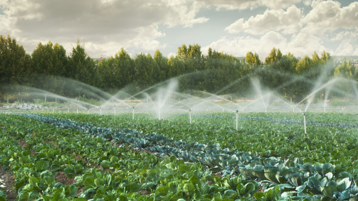 Congress Is Facing Yet Another Bad Farm Bill: News Article ...