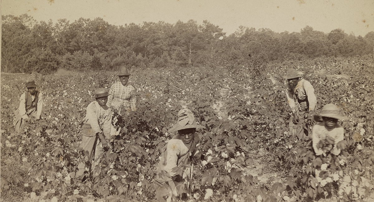 Slavery Revisited: Time on the Cross at 50: News Article - Independent ...