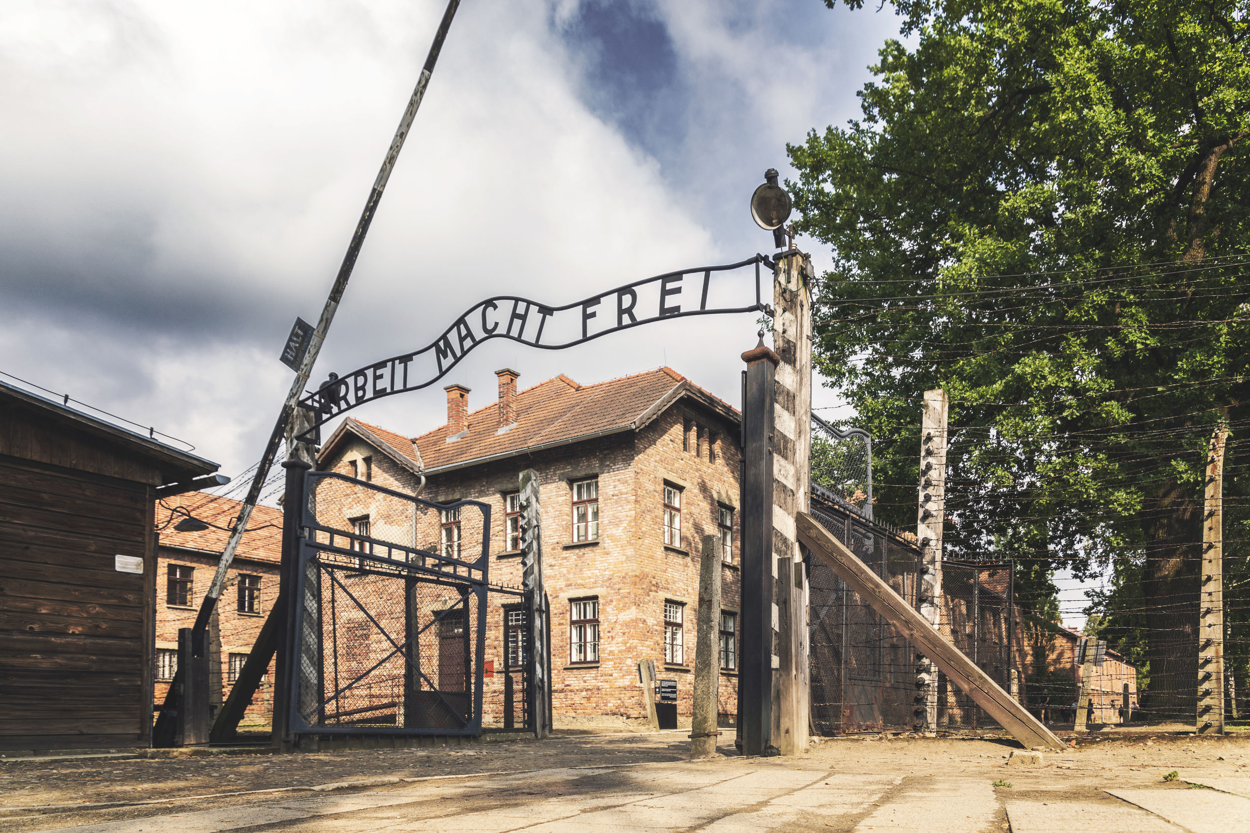 Nullify Nazi Name-Calling: News Article - Independent Institute