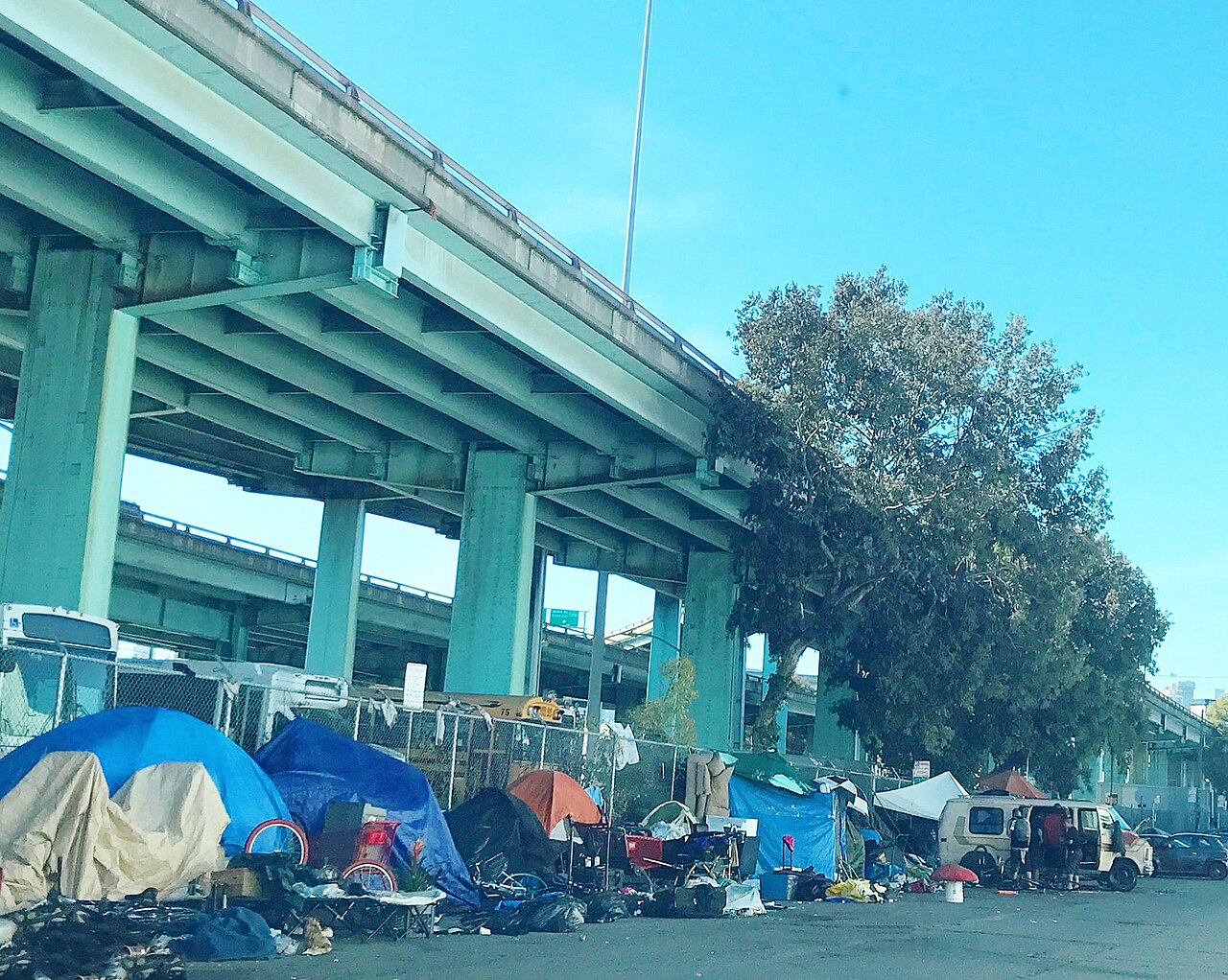 Which US Cities Are Solving Homelessness?: News Article - Independent ...